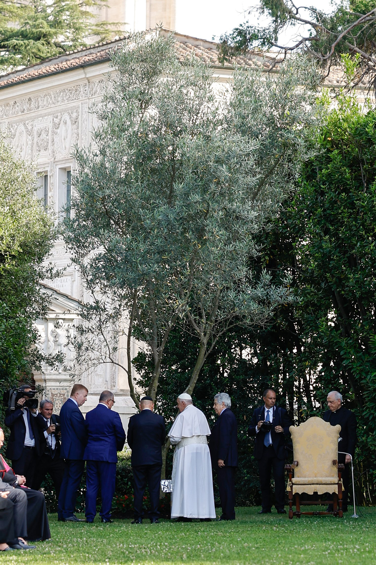 Under olive tree planted as sign of peace, pope begs God to help Holy ...