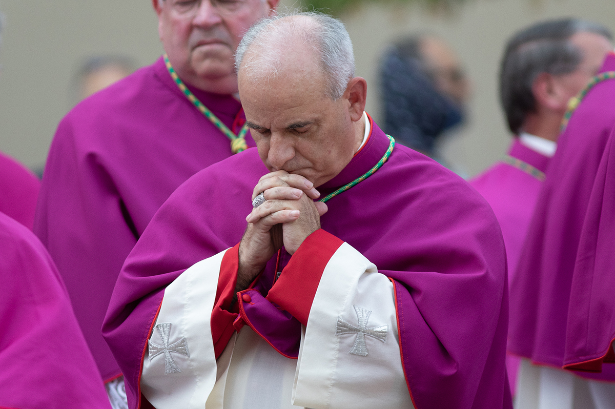 'Jesus is all around': St. Louis Catholics experience National ...